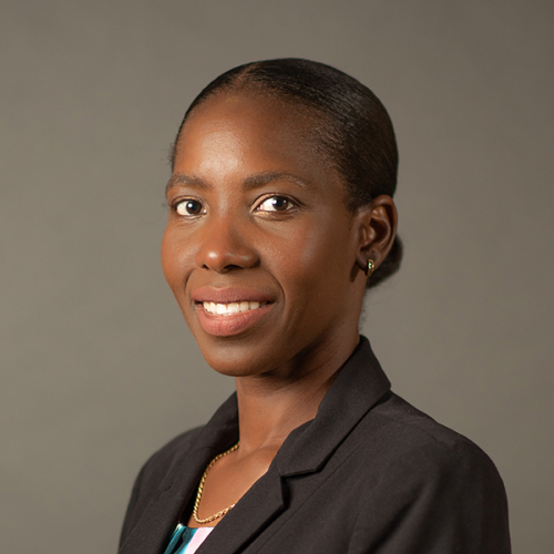 Attorney/Profiles - Complete Intellectual Property Services (CIPS)